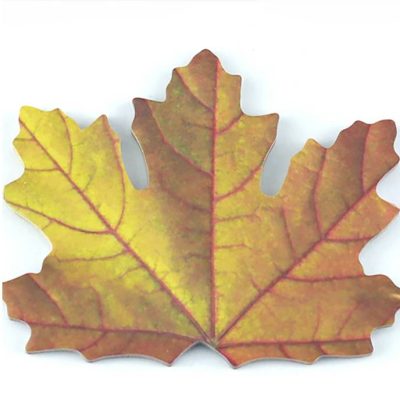 Maple Leaf Shaped Sticky Note Price Bangladesh | Diamu.com.bd